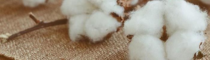 Qu'est ce que le coton - Trois Kilos Sept